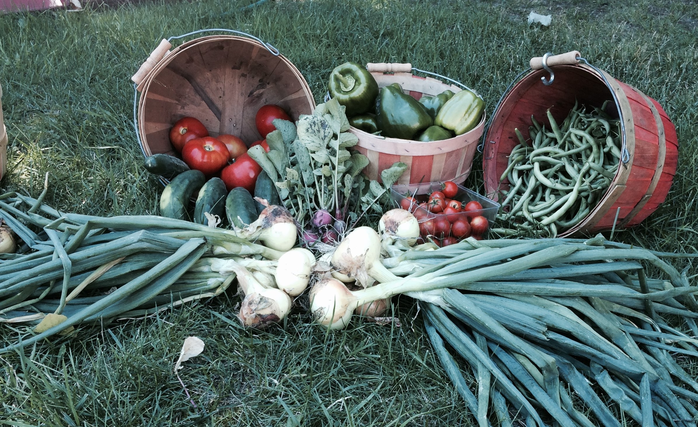 Good Neighbors Food Pantry