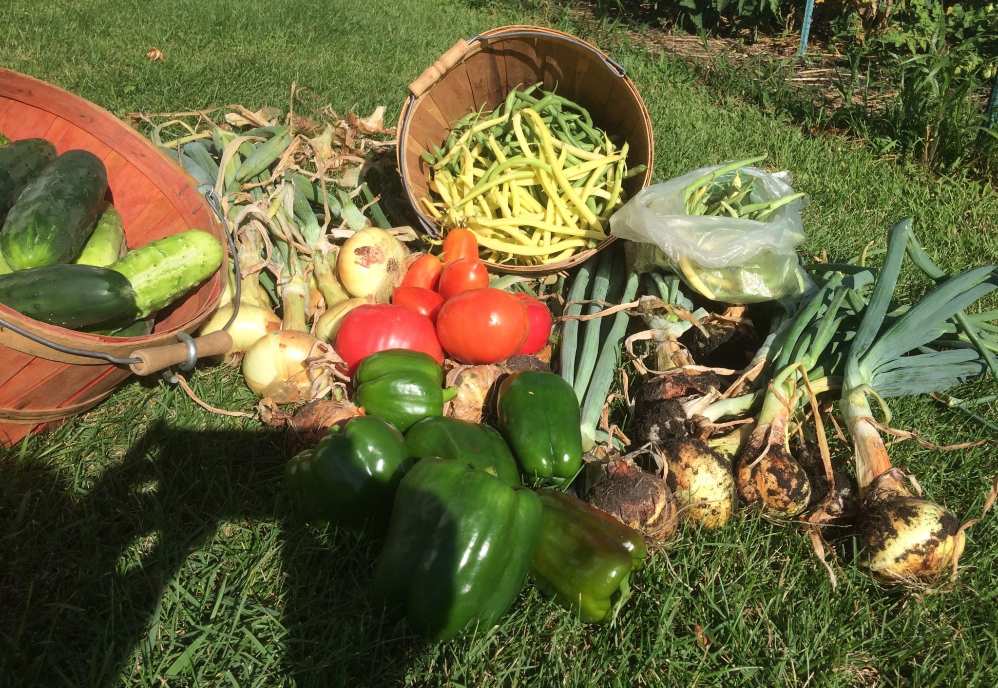 2019 in pictures – Good Neighbors Food Pantry